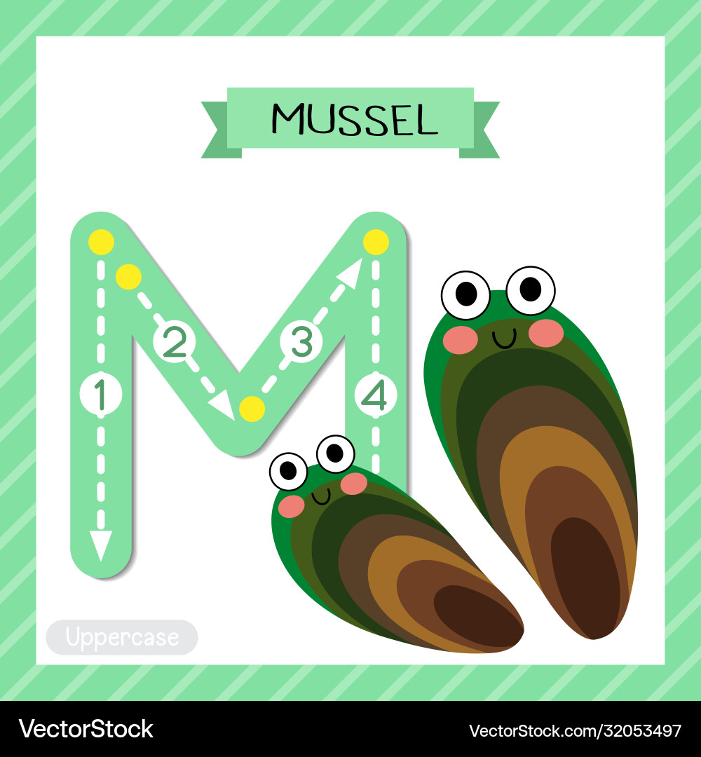 Letter m uppercase tracing mussel Royalty Free Vector Image