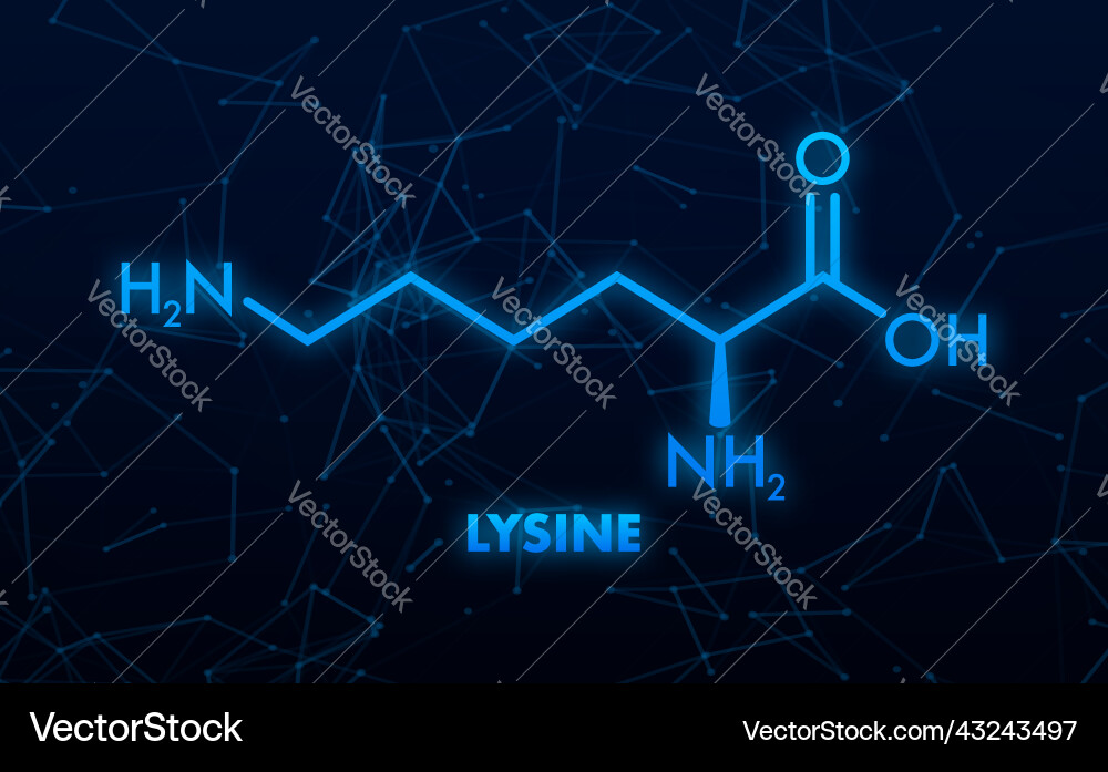 Lysine formula great design for any purposes Vector Image