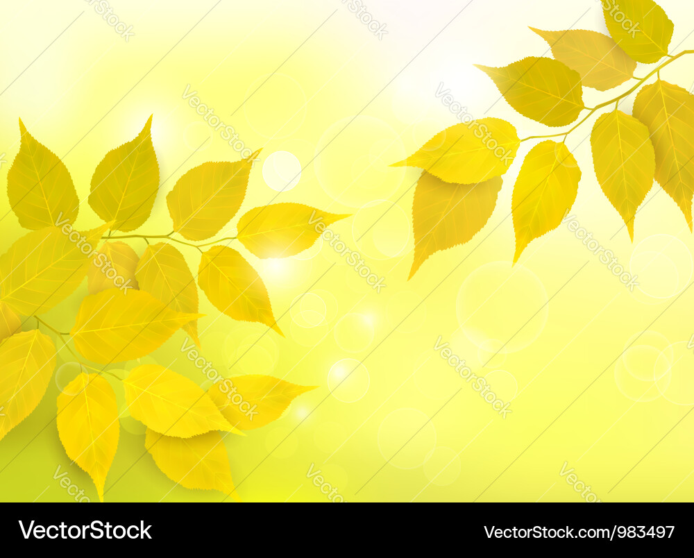 Nature background with yellow leaves Royalty Free Vector