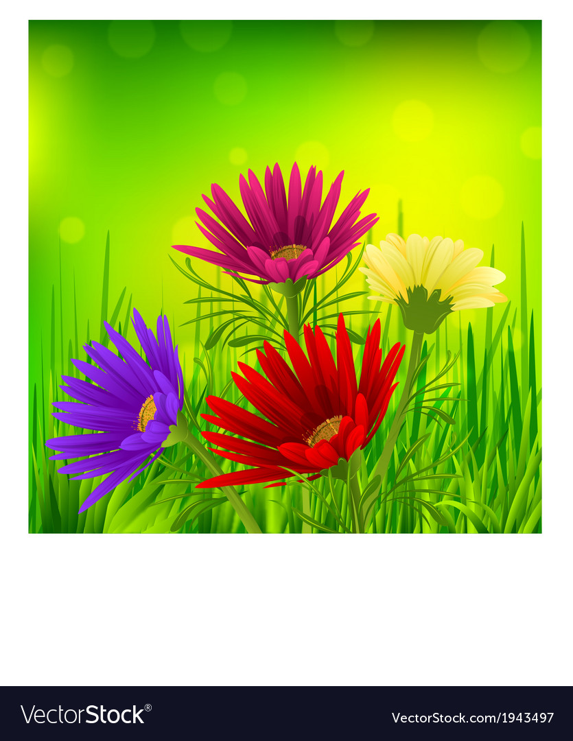 Spring Background Royalty Free Vector Image - VectorStock