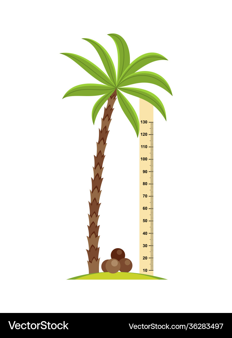 Wall meter with big high palm sticker for Vector Image