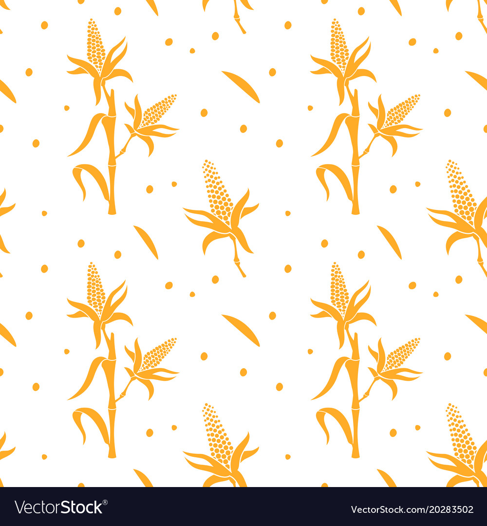 Seamless pattern with corn design template Vector Image