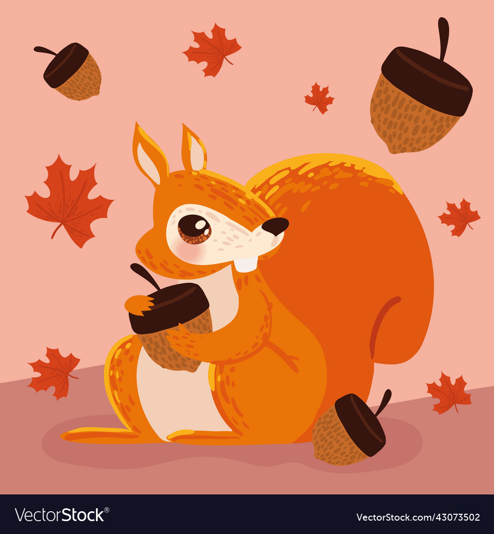 Squirrel and autumn acorn Royalty Free Vector Image