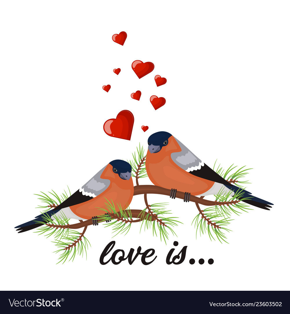 Two birds in love valentine s day postcard free Vector Image