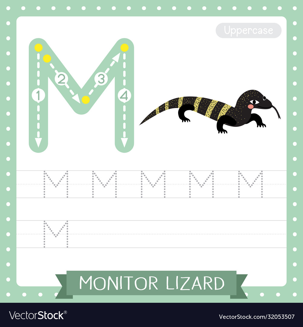 Letter m uppercase tracing practice worksheet of Vector Image