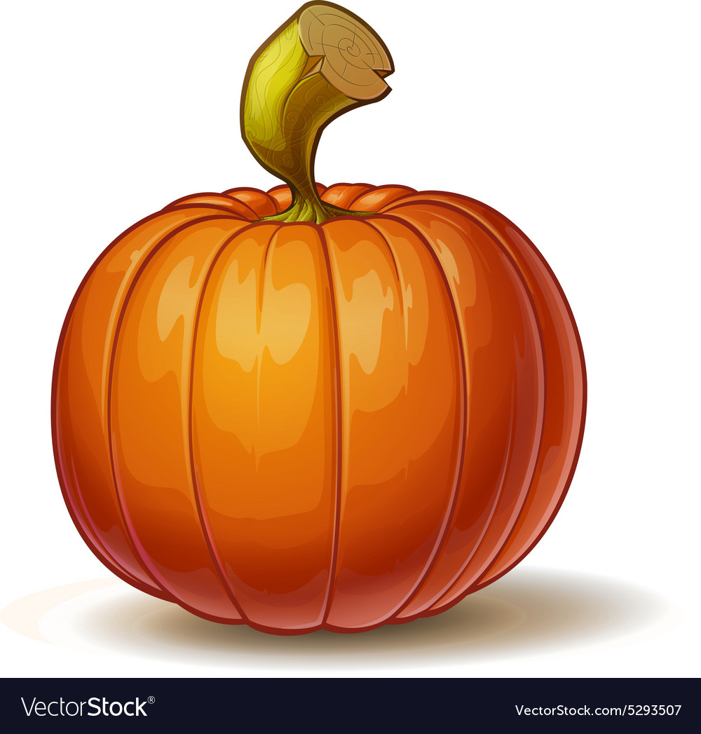 Pumpkins Royalty Free Vector Image - VectorStock