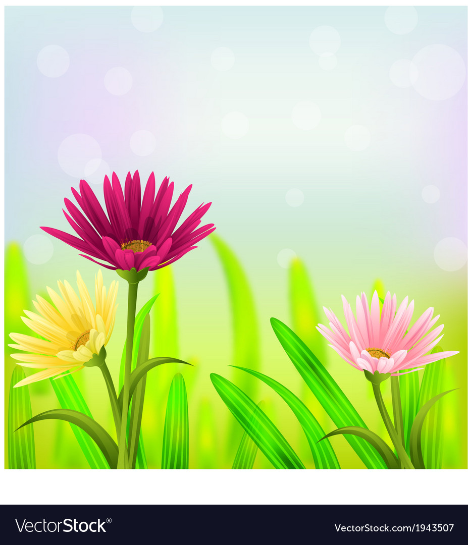 Spring background Royalty Free Vector Image - VectorStock