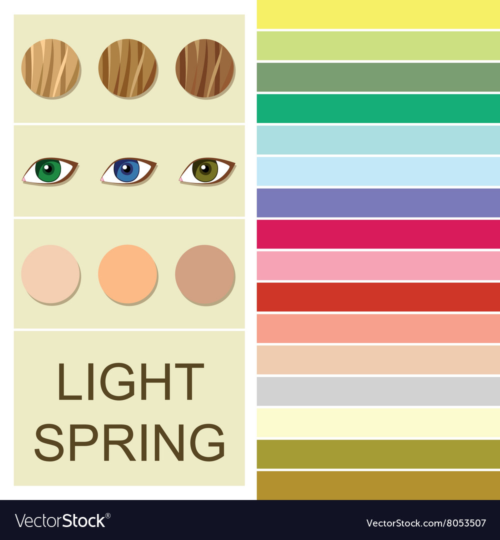 Stock seasonal color analysis palette Royalty Free Vector Stock seasonal color analysis palette Royalty Free Vector