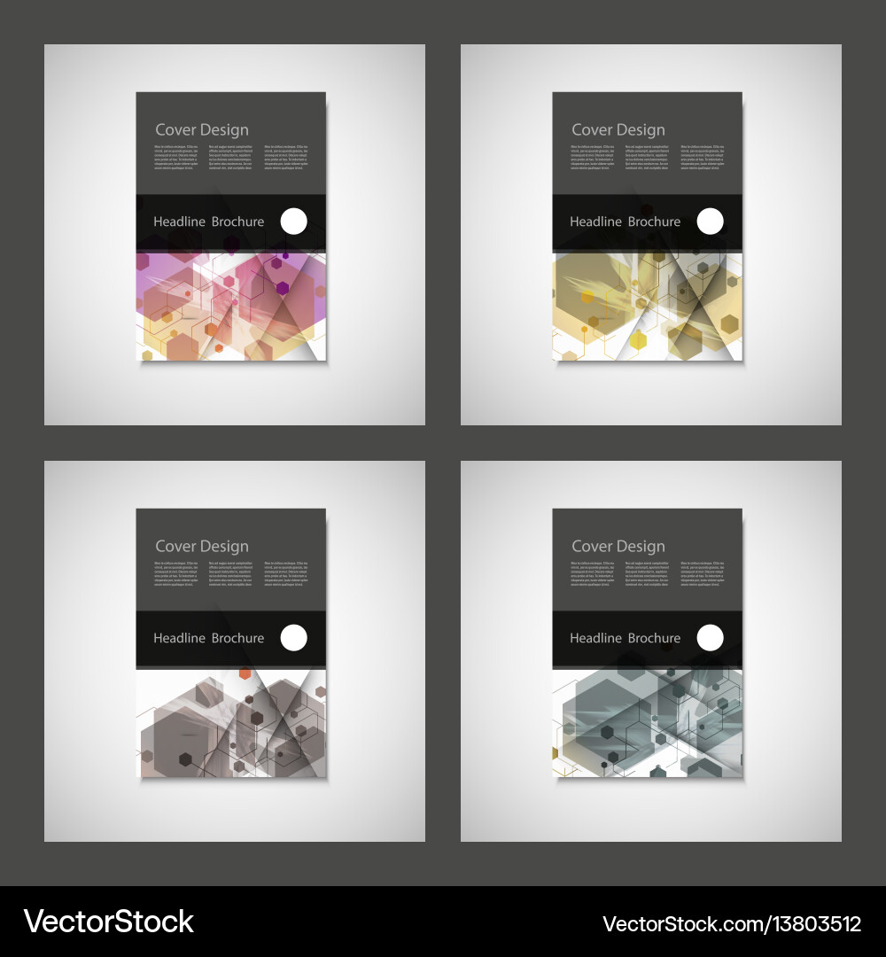 Abstract cover design business brochure template Vector Image