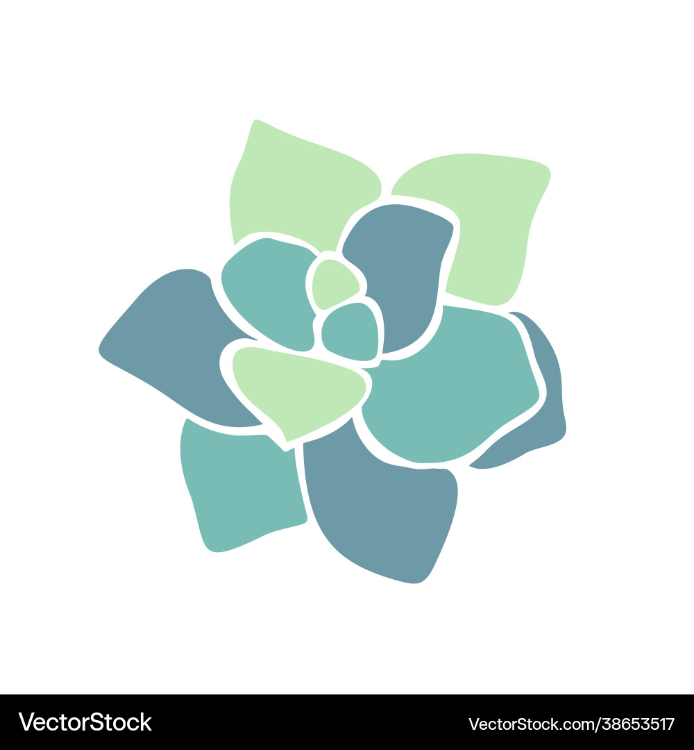 Beautiful collection with green succulent cactus Vector Image