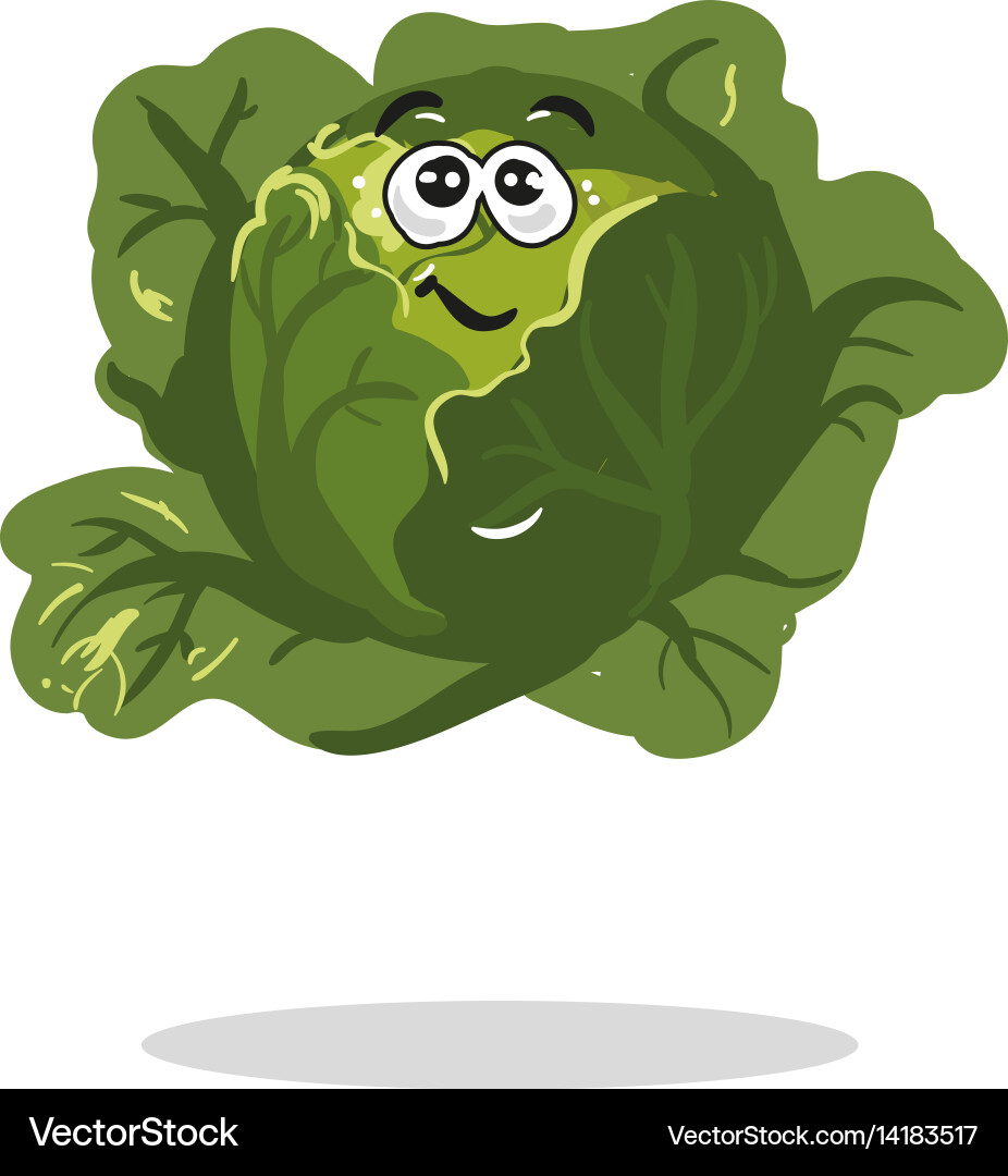 Cabbiage cartoon character with cute face Vector Image