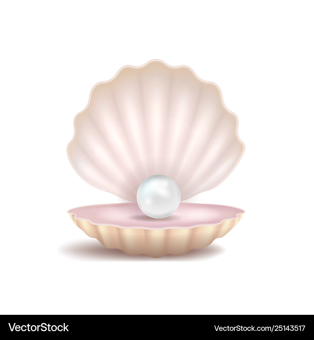 Realistic 3d detailed pearl and shell Royalty Free Vector