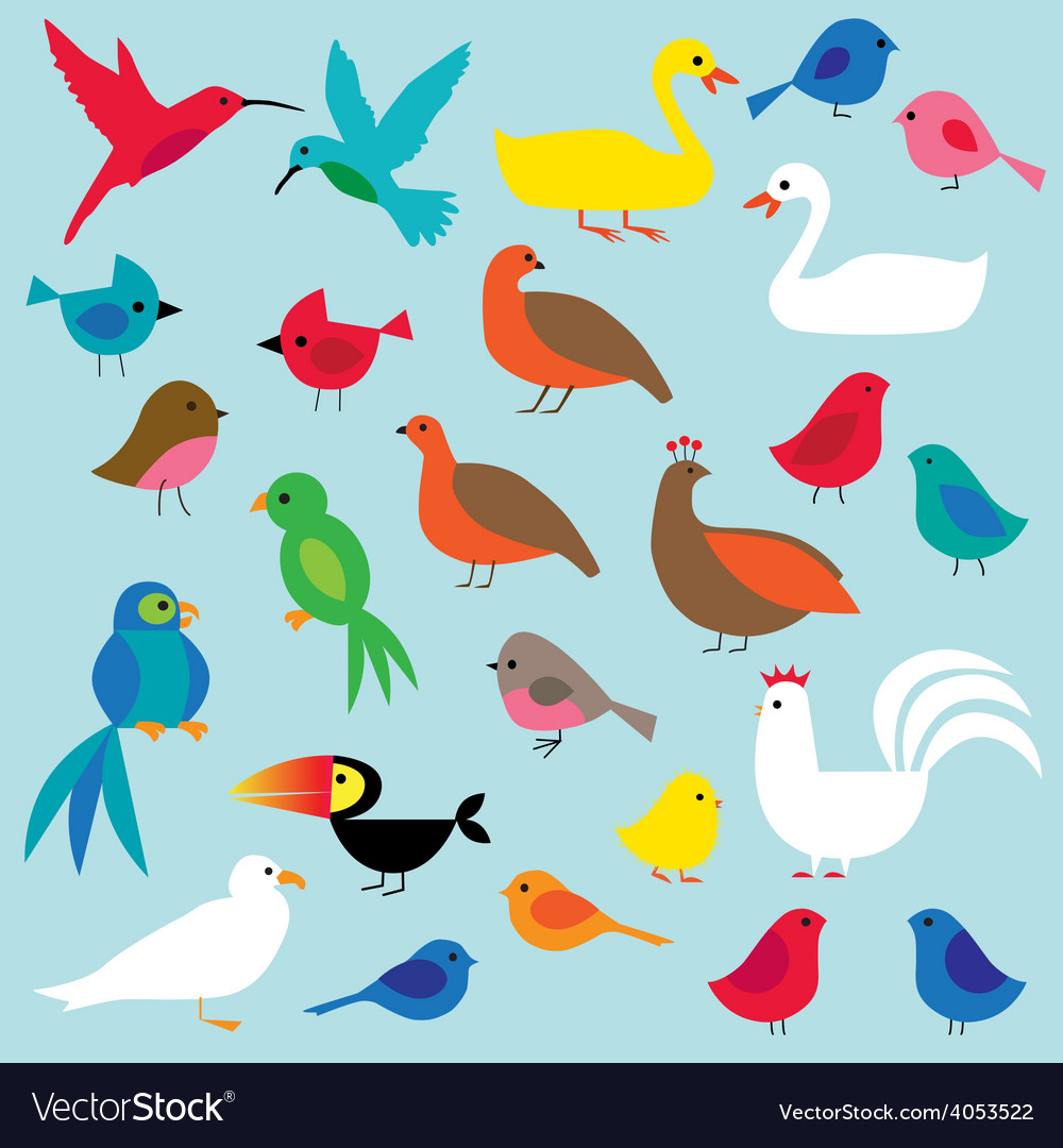 Birds Royalty Free Vector Image - VectorStock