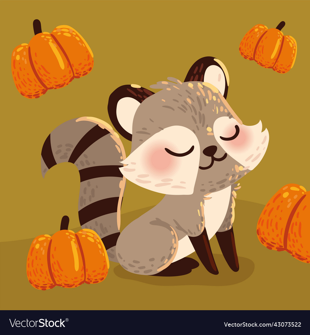 Funny raccoon and pumpkins Royalty Free Vector Image