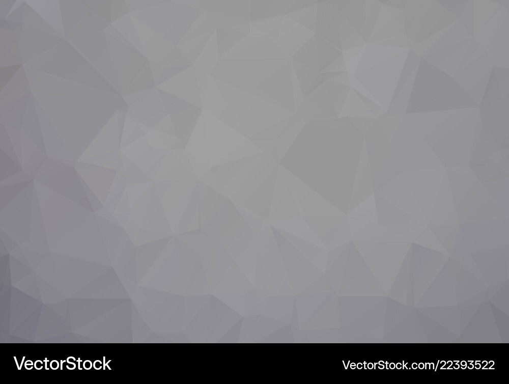Gray polygonal which consist of triangles Vector Image