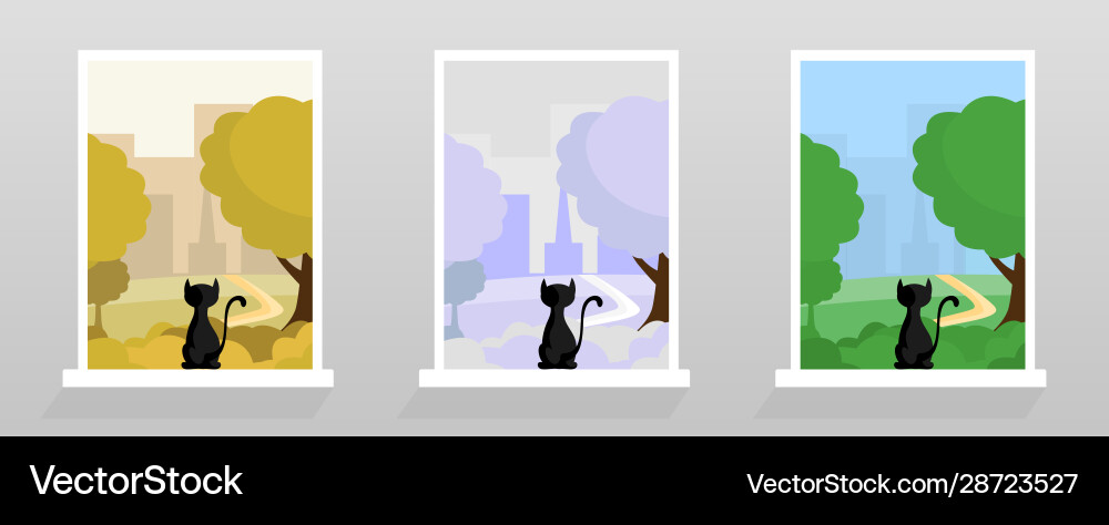 Cat at window sill set colorful Royalty Free Vector Image