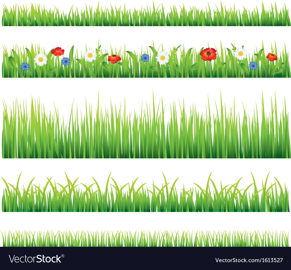 Grass set Royalty Free Vector Image - VectorStock