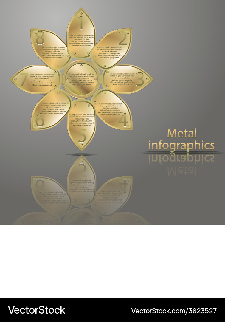 Infographics in metal style Royalty Free Vector Image