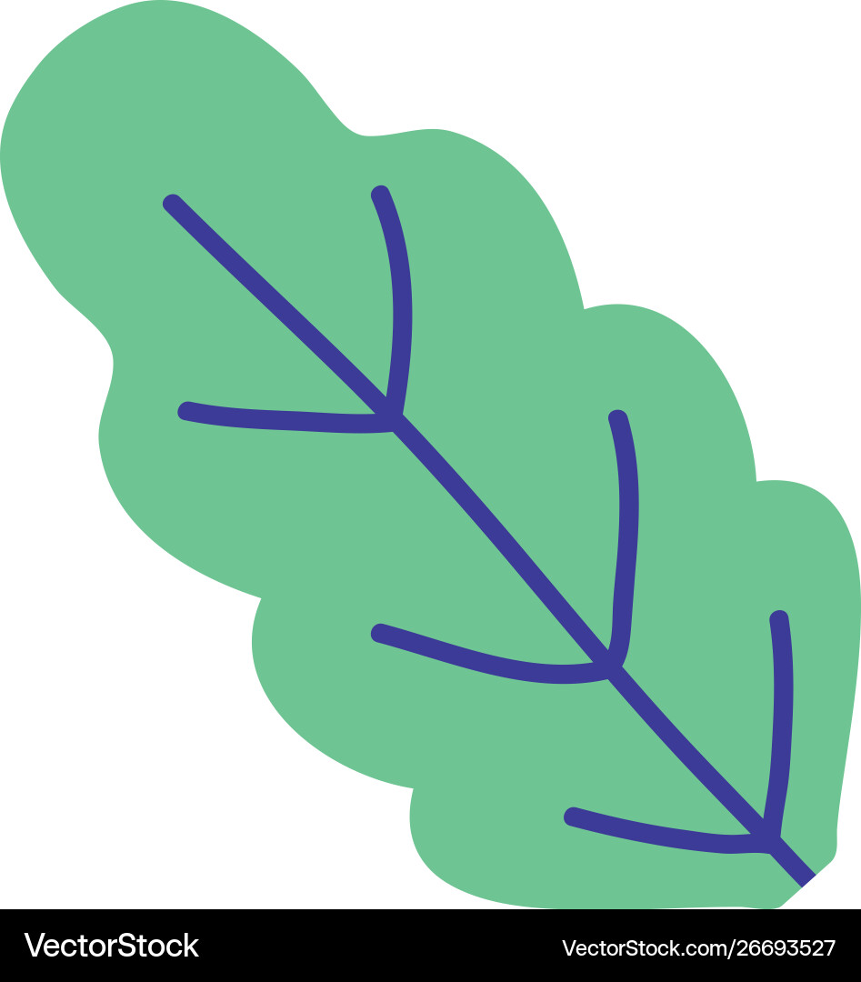 Isolated leaf design Royalty Free Vector Image