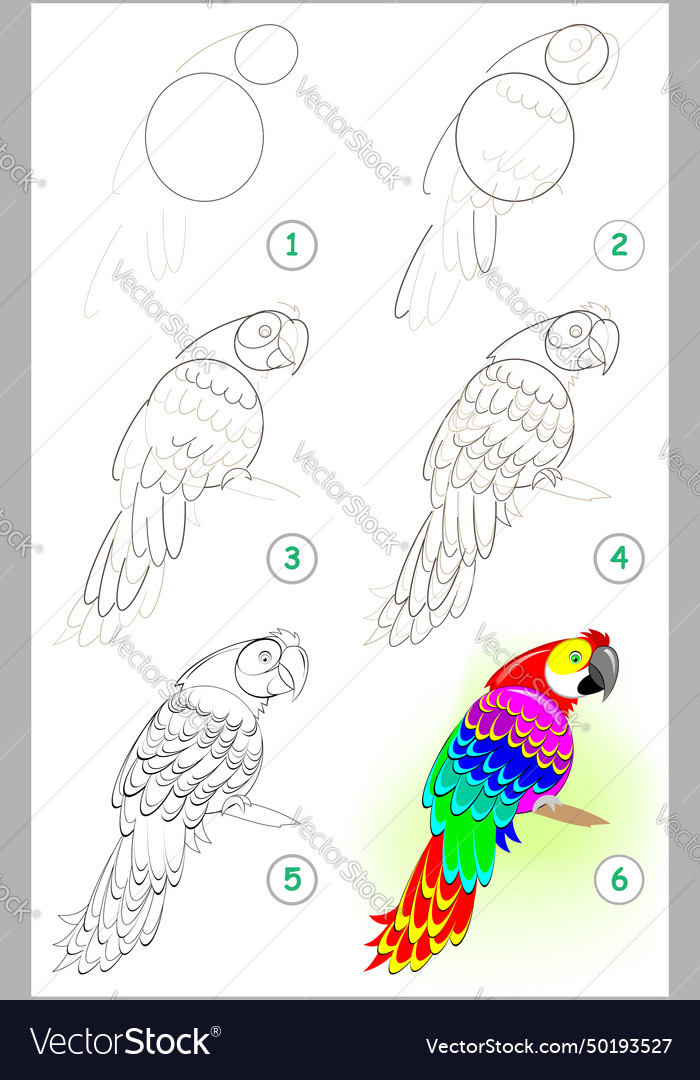 Page shows how to learn step by draw Royalty Free Vector