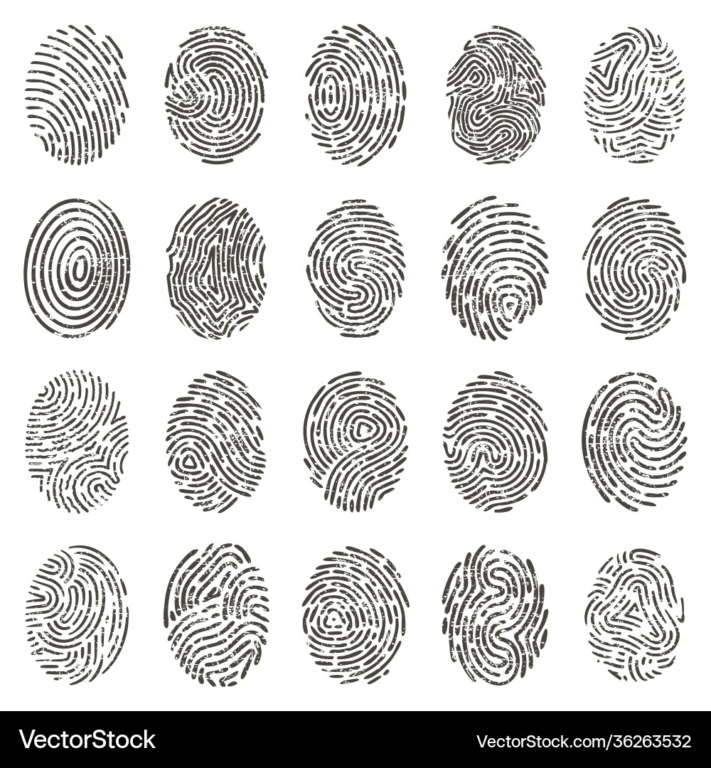 Biometric fingerprints human grunge individual Vector Image