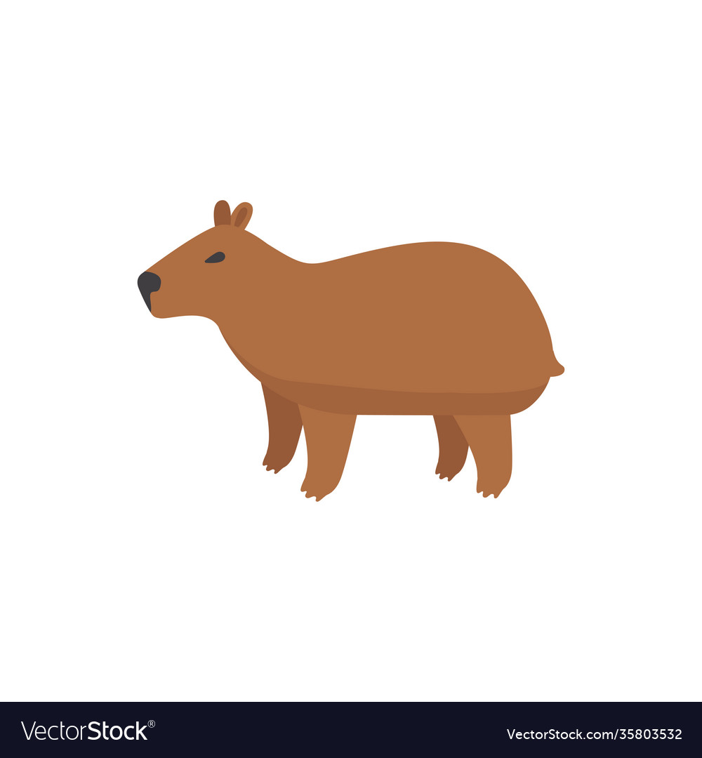 Cute capybara Royalty Free Vector Image - VectorStock