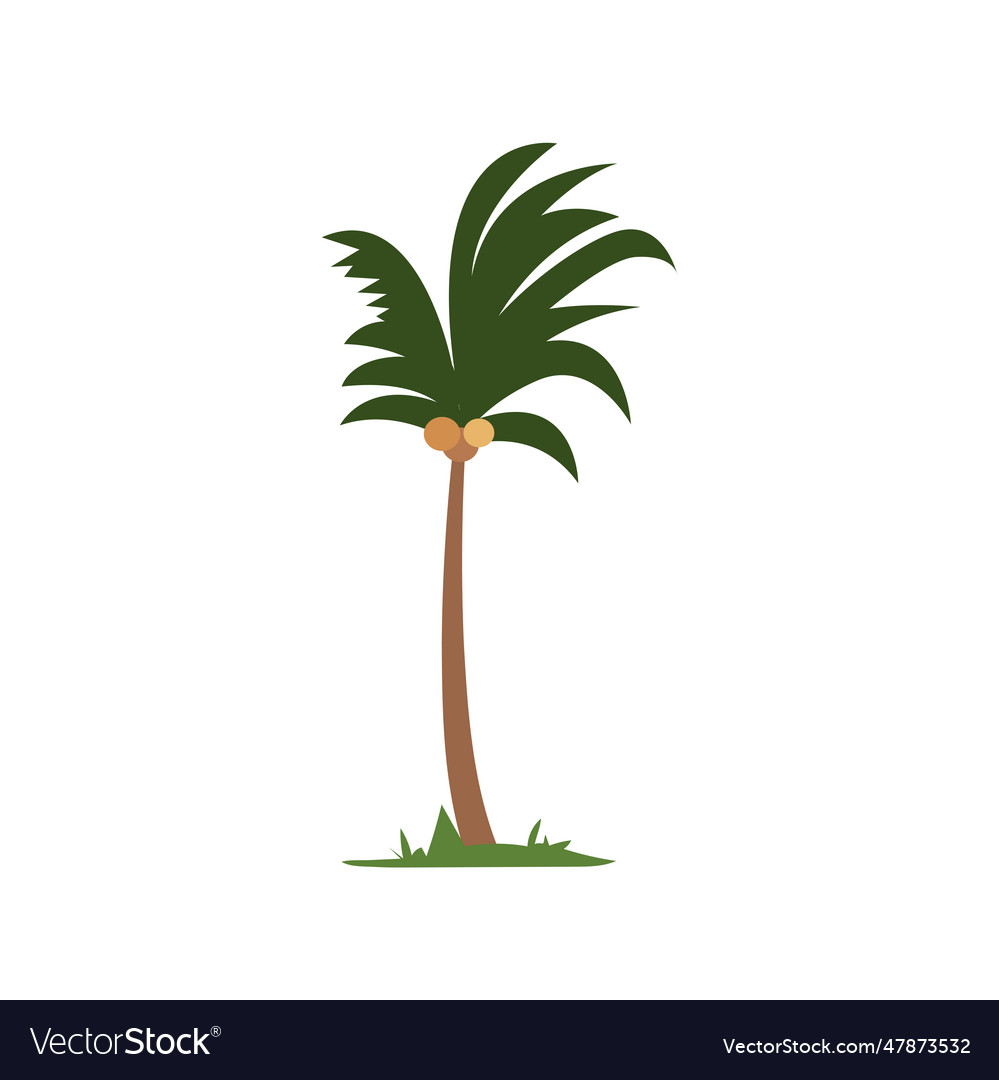 Palm tree design element coconut icon Royalty Free Vector