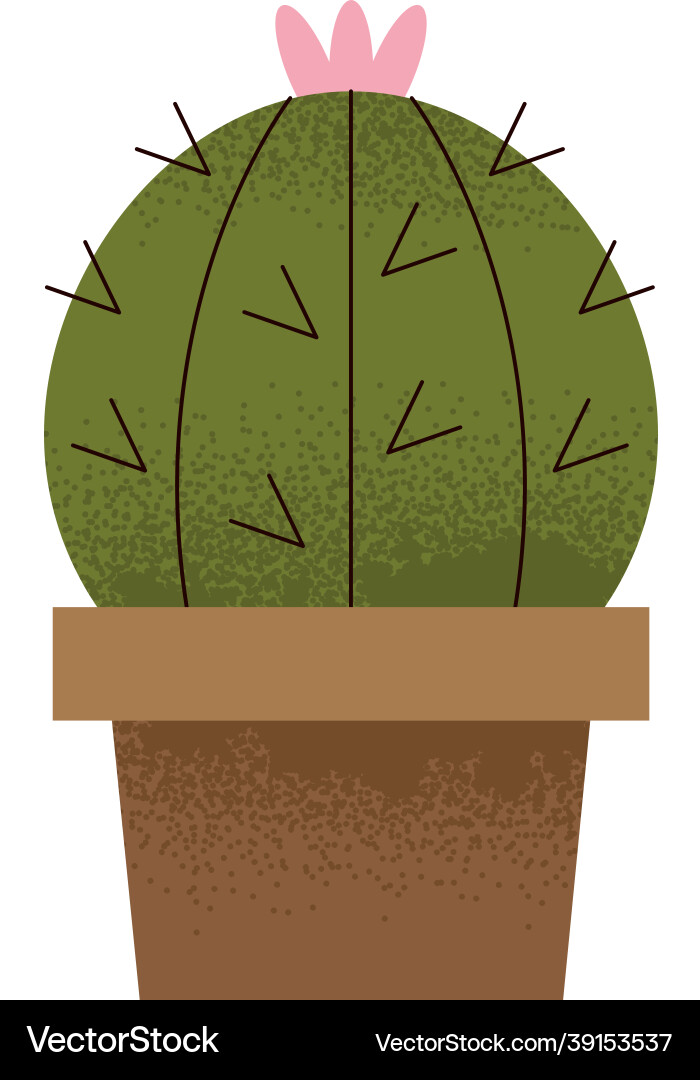 Cactus in pot Royalty Free Vector Image - VectorStock