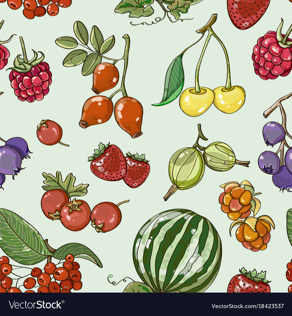 Set different berries pattern Royalty Free Vector Image