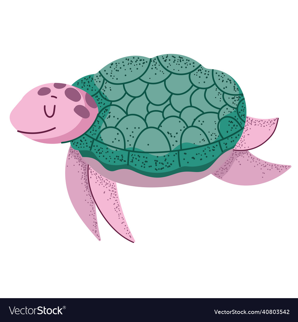 Cute cartoon turtle Royalty Free Vector Image - VectorStock