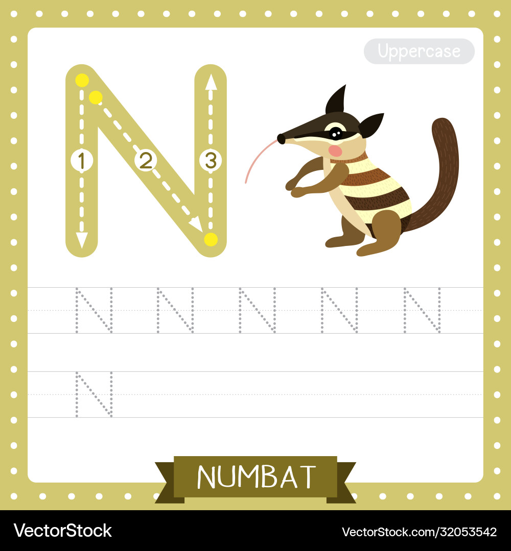 Letter n uppercase tracing practice worksheet Vector Image