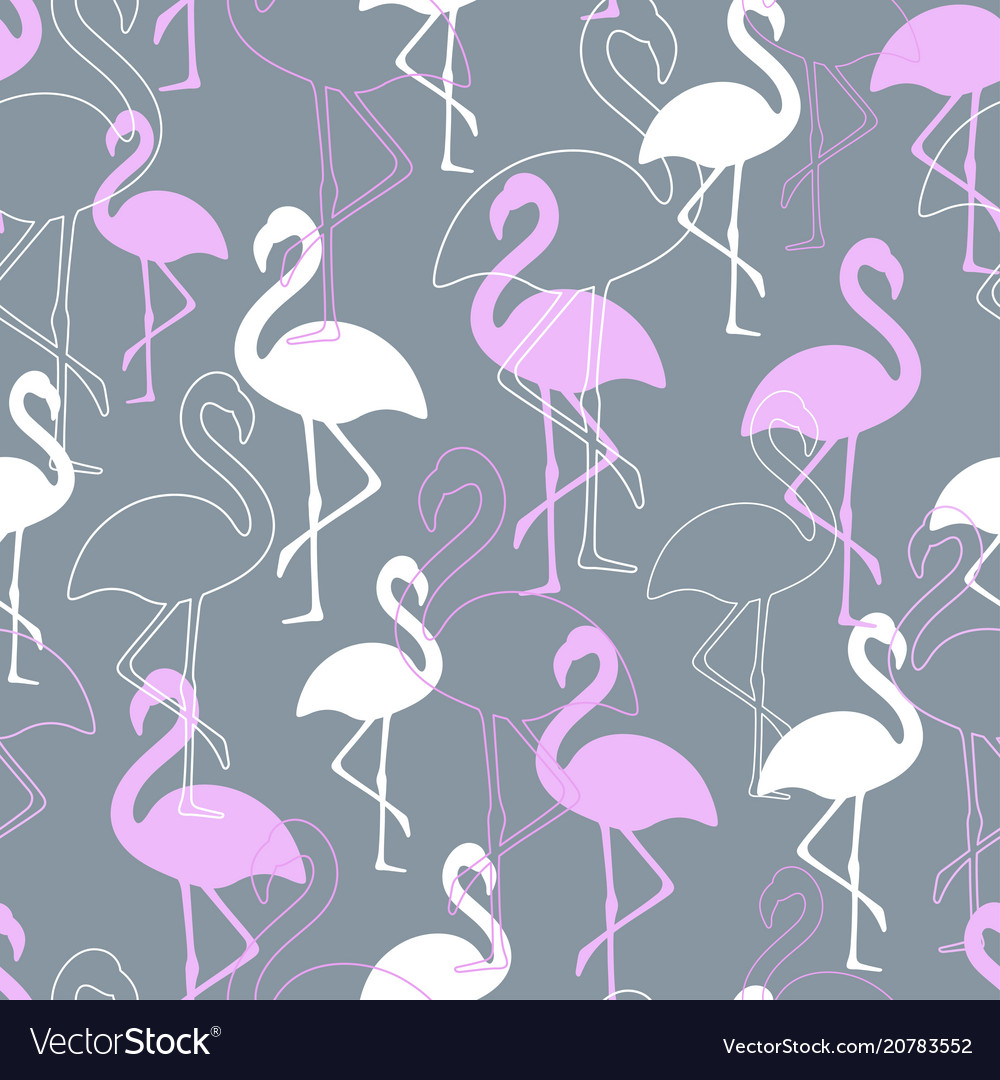 Flamingo seamless pattern Royalty Free Vector Image