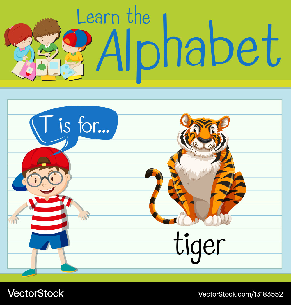 Flashcard letter t is for tiger Royalty Free Vector Image