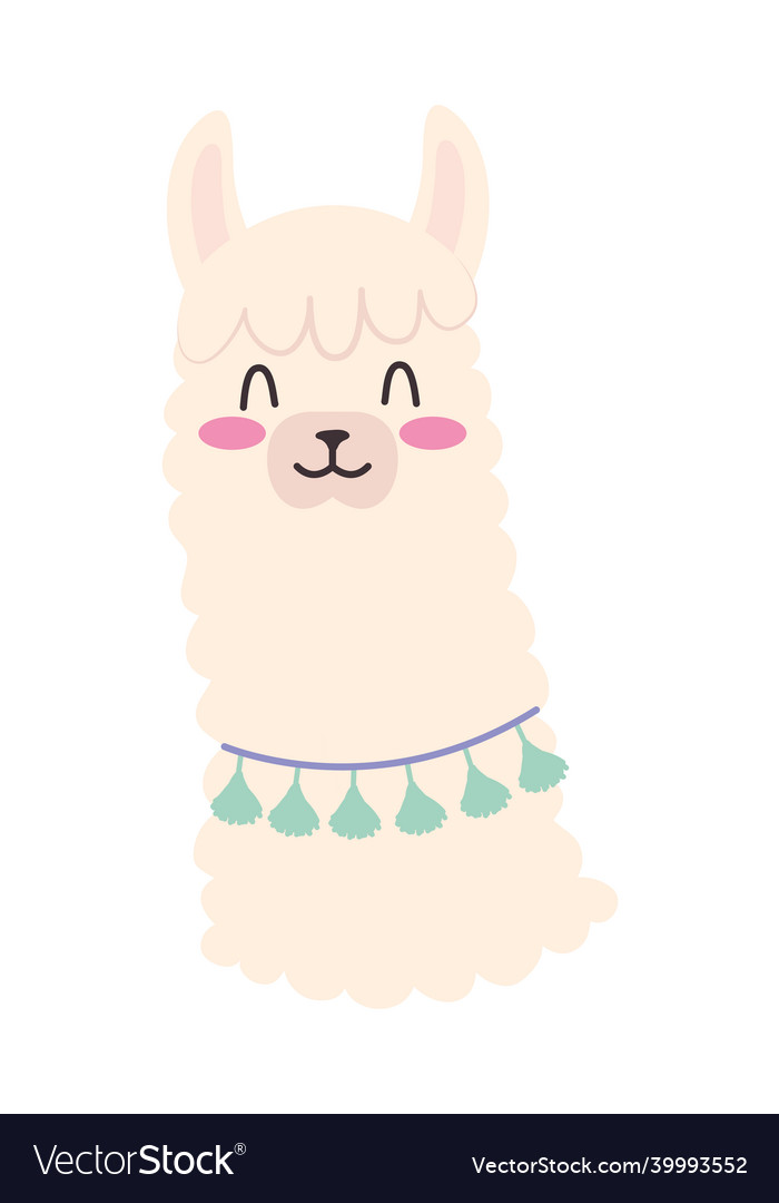 Fluffy alpaca head Royalty Free Vector Image - VectorStock