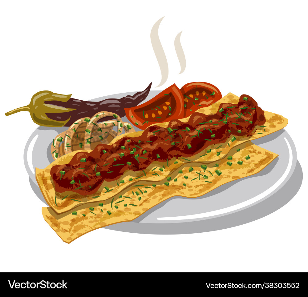 Traditional turkish adana kebab Royalty Free Vector Image