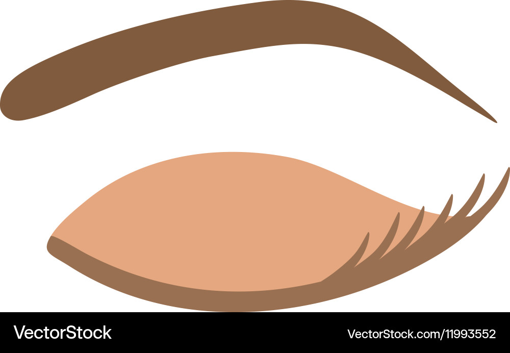 Woman eye closeup Royalty Free Vector Image - VectorStock