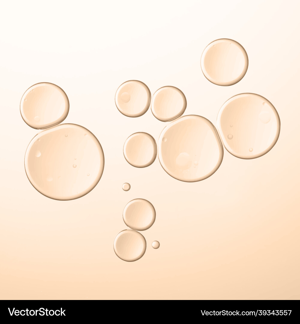 Abstract oil bubble macro shot transparent liquid Vector Image