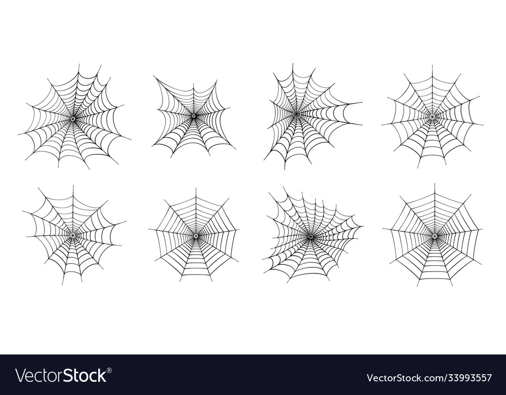Spider web concept Royalty Free Vector Image - VectorStock