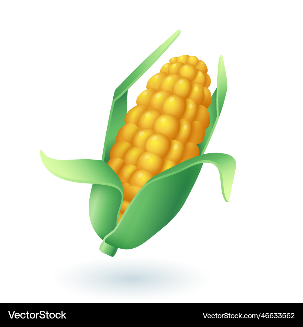 3d cartoon style corn cob icon on white background