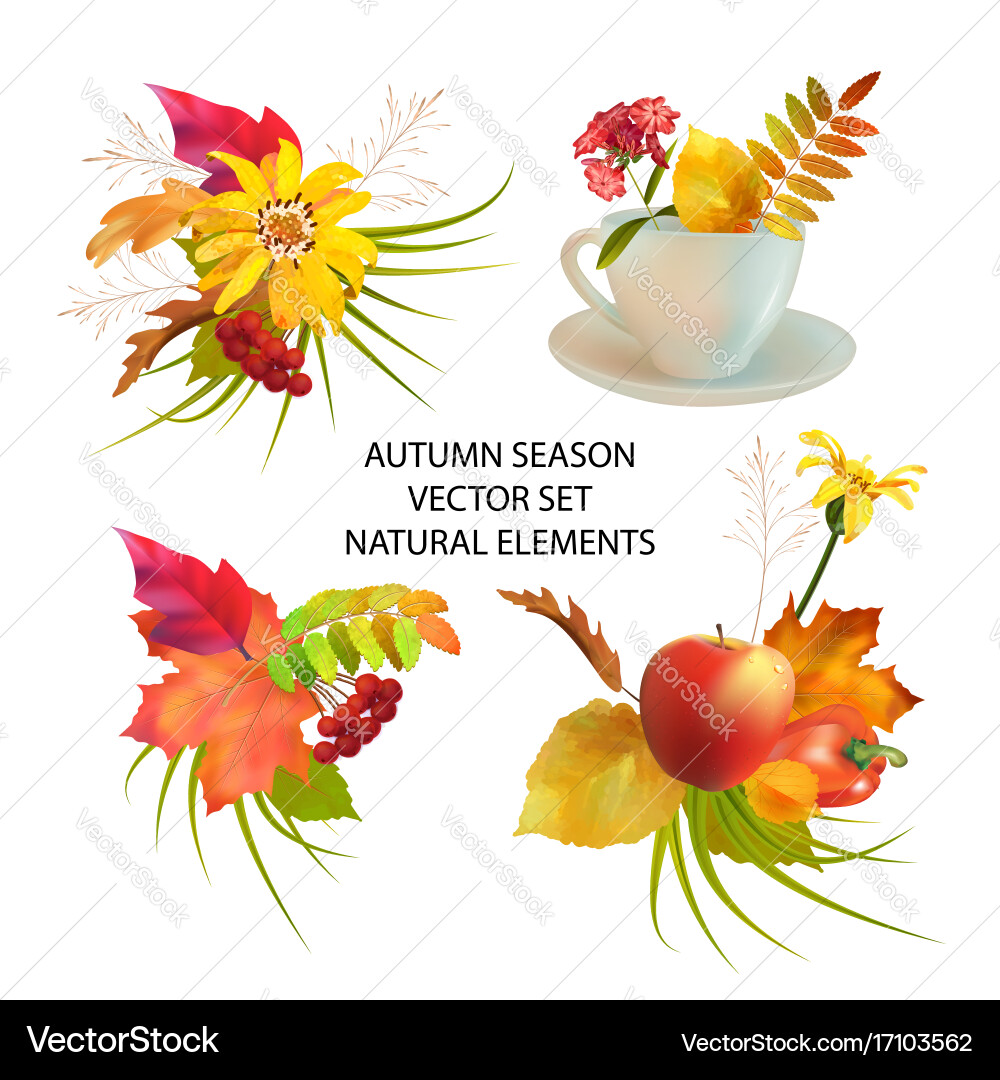 Autumn season collection Royalty Free Vector Image
