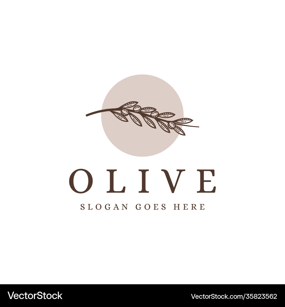 Lineart olive branch logo tree plant Royalty Free Vector