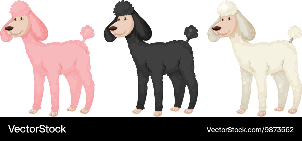 Puddle dogs with different color fur Royalty Free Vector