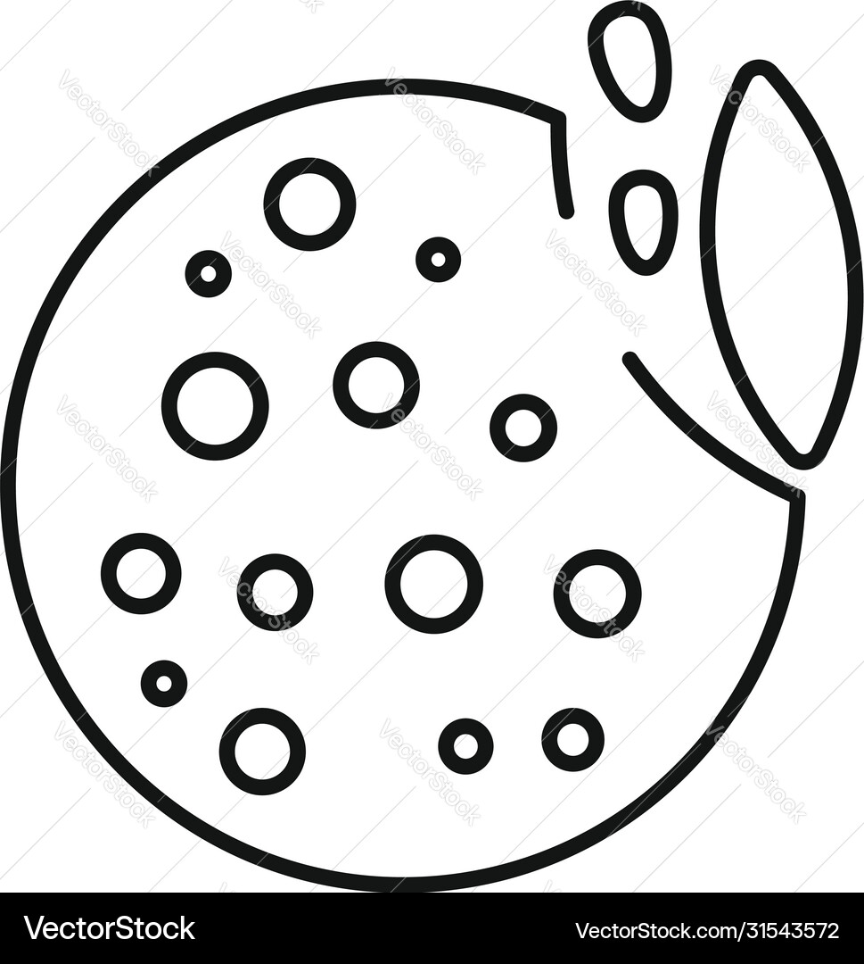 Bite homemade biscuit icon outline style Vector Image