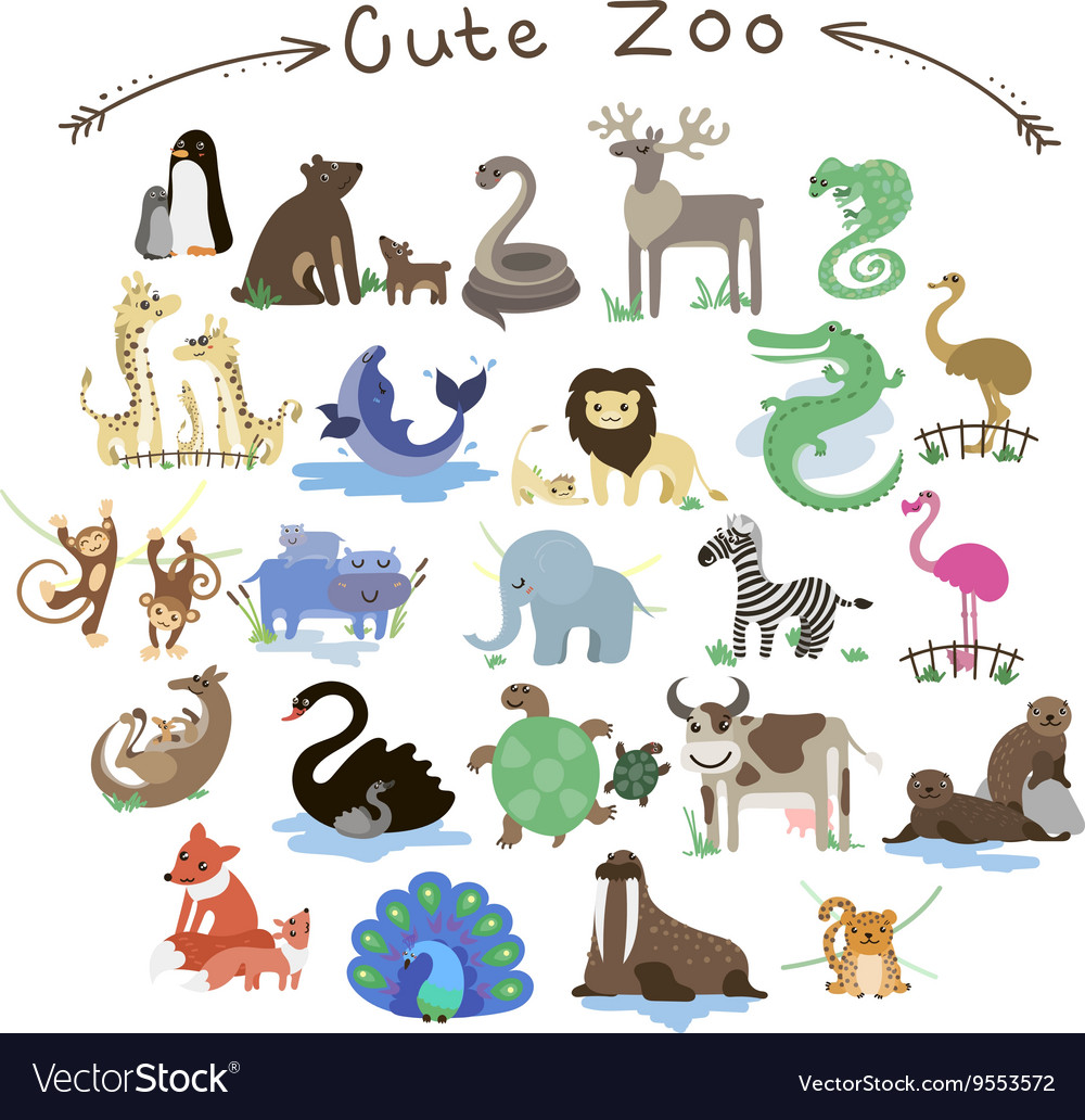 Set of cute zoo animals a lot of different Vector Image