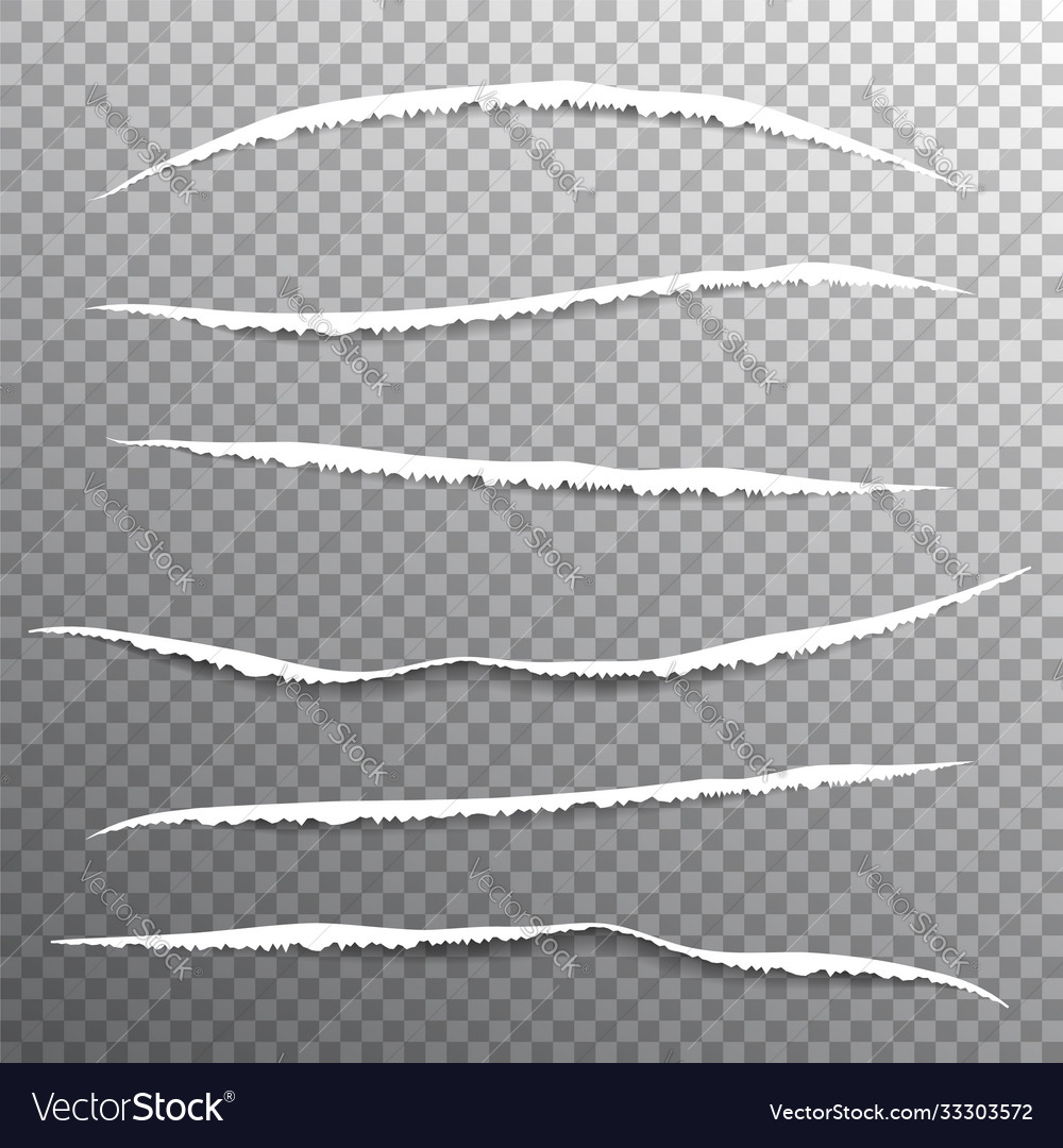 Torn edges paper pattern Royalty Free Vector Image