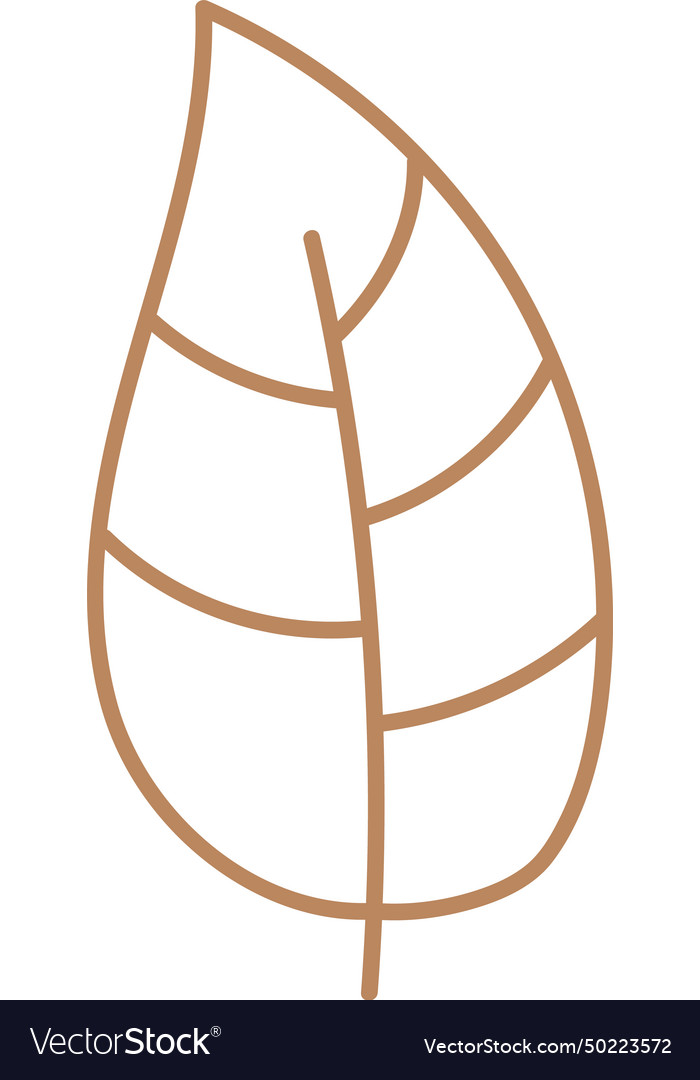 Tree leaf outline Royalty Free Vector Image - VectorStock