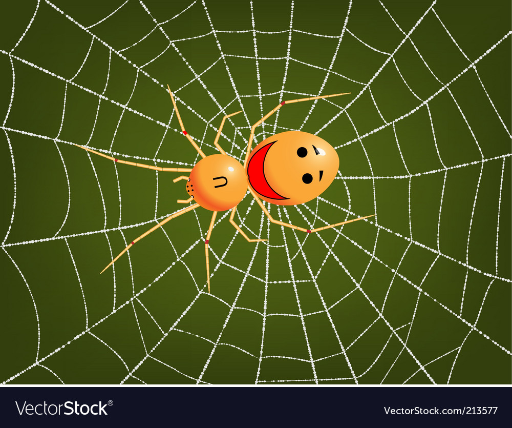 Spider Royalty Free Vector Image - VectorStock