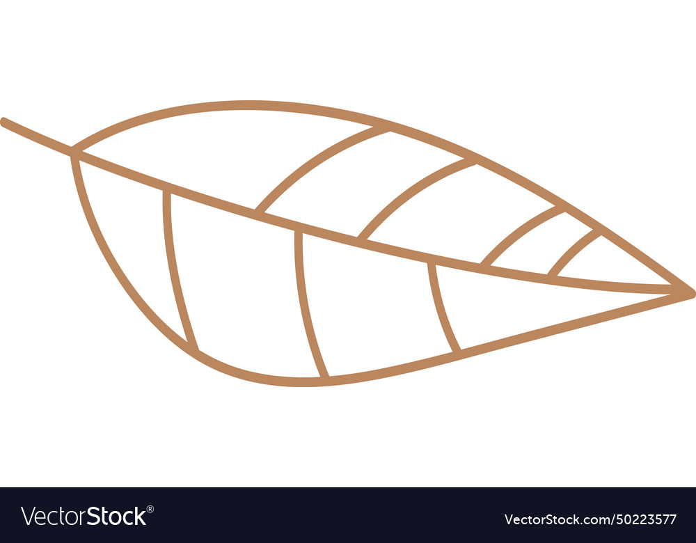 Tree leaf outline Royalty Free Vector Image - VectorStock