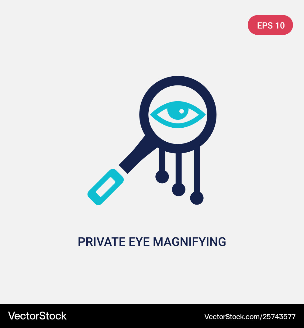 Two color private eye magnifying glass icon from Vector Image