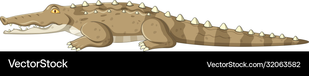 Alligator cartoon character isolated on white Vector Image